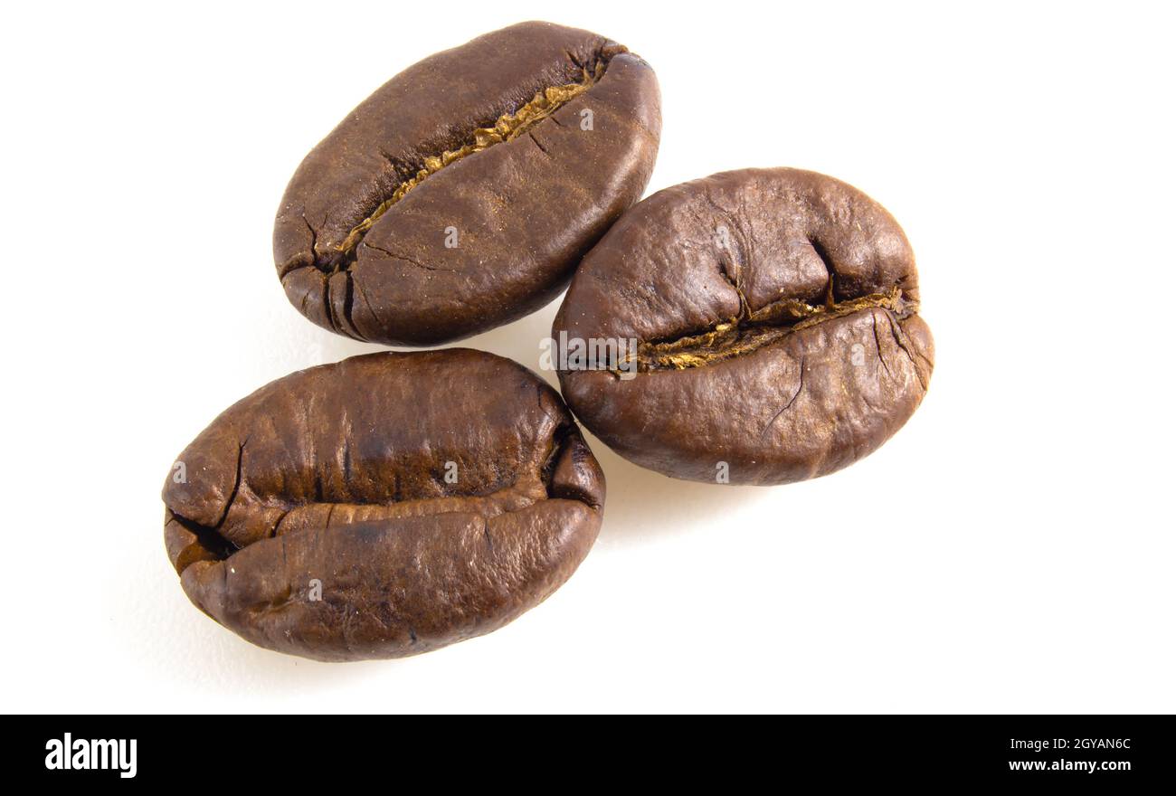 3 coffee beans on a white background. Arabica isolated close up Stock ...