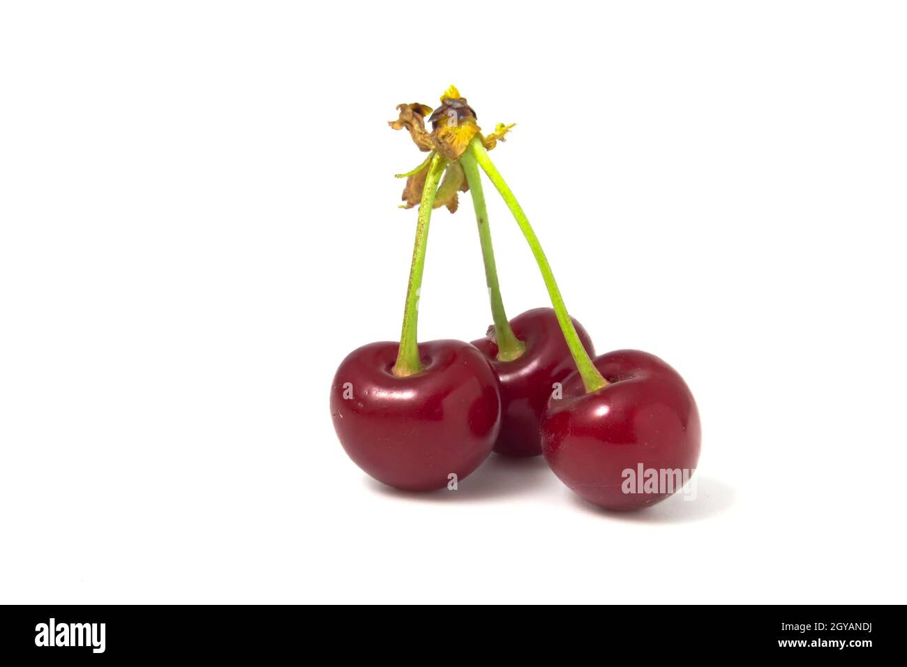 Three cherries isolated on white background. Fresh fruits full focus ...