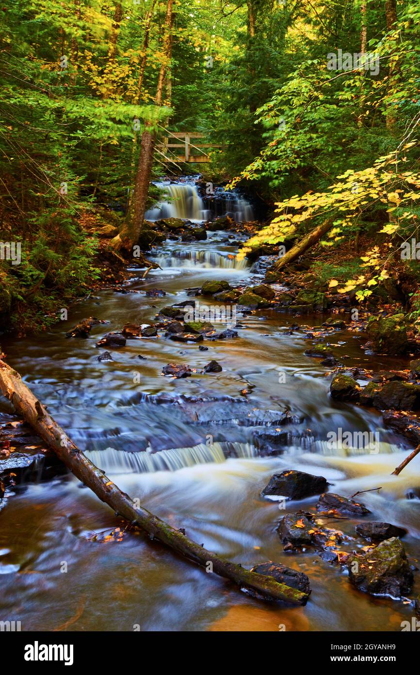 Log bridge over pond hi-res stock photography and images - Alamy