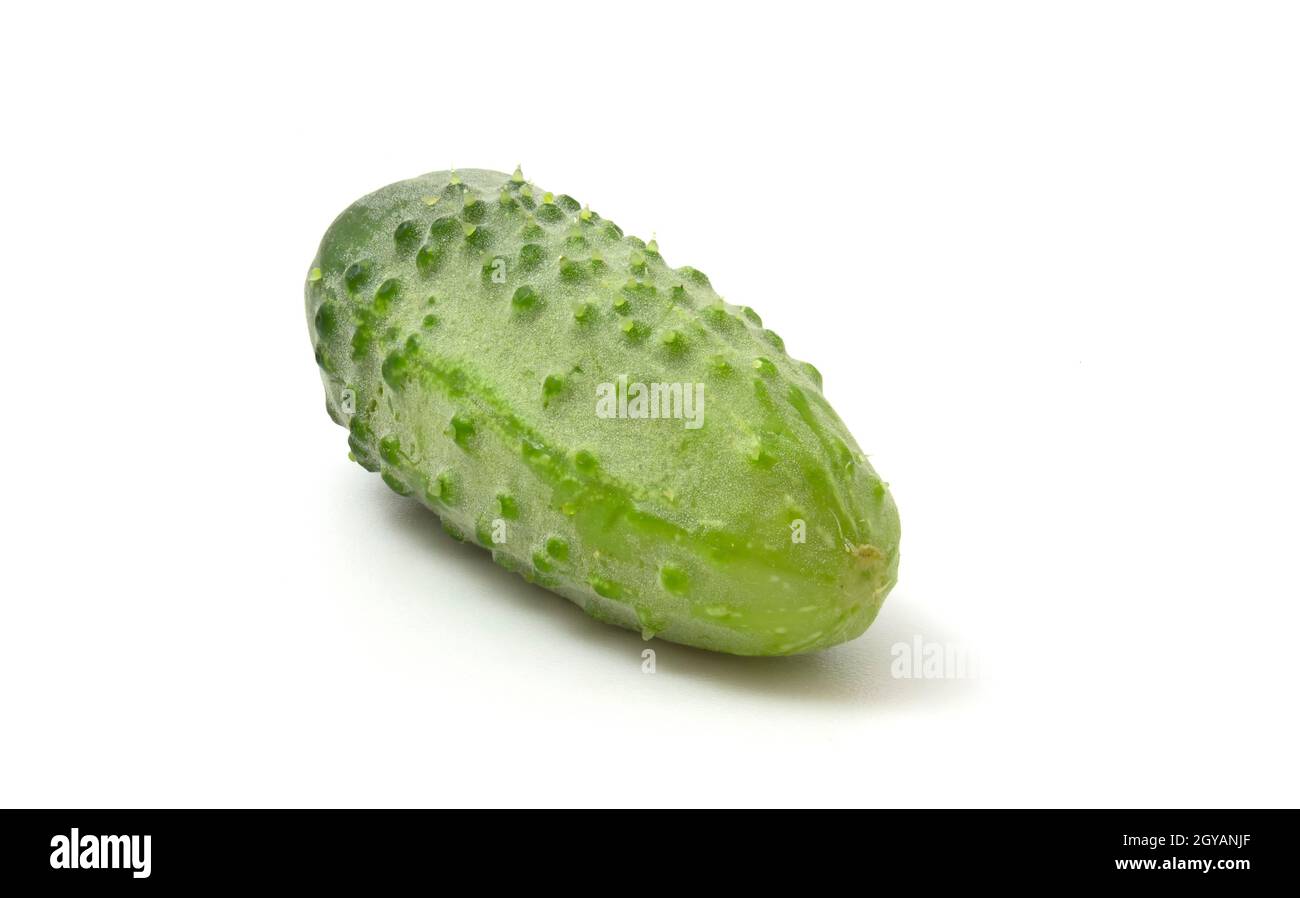 Fresh green cucumber isolated on white background for quick selection ...
