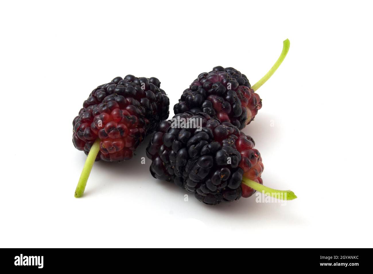 Black mulberry isolated on white background Stock Photo - Alamy