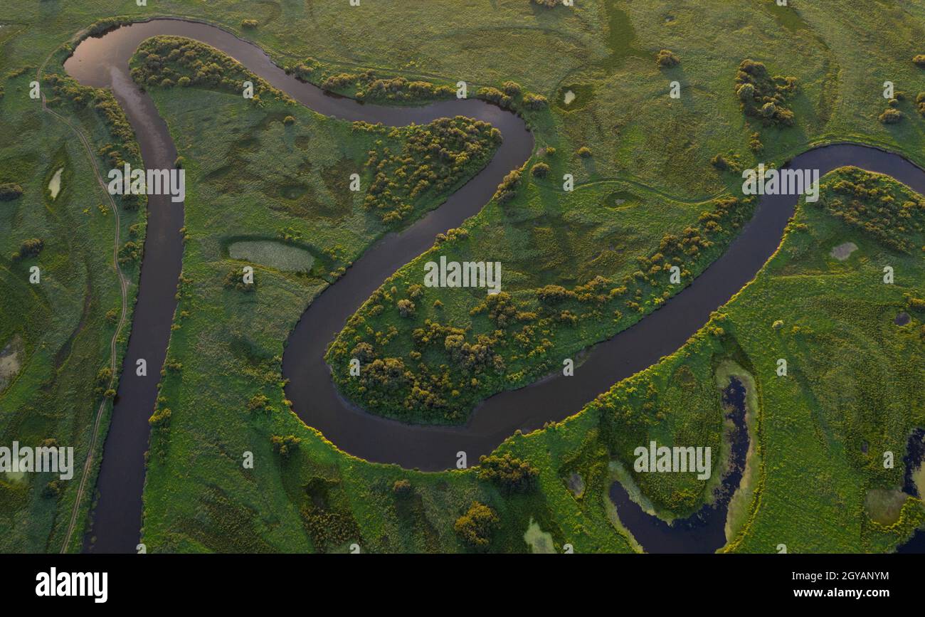 Swampy plain hi-res stock photography and images - Alamy