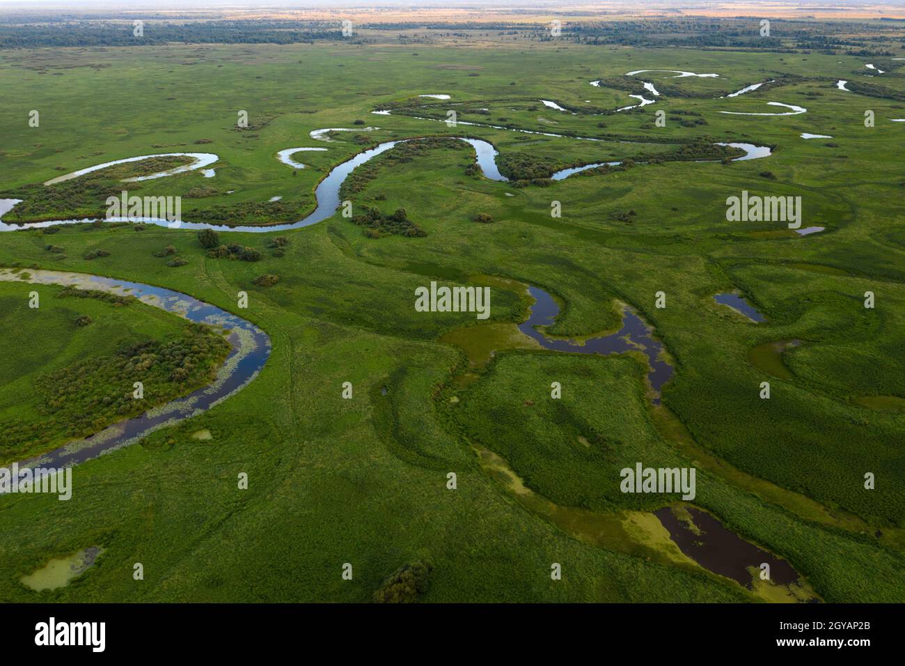 Aerial view of winding river bed with ducts. Flying above swampy plain ...