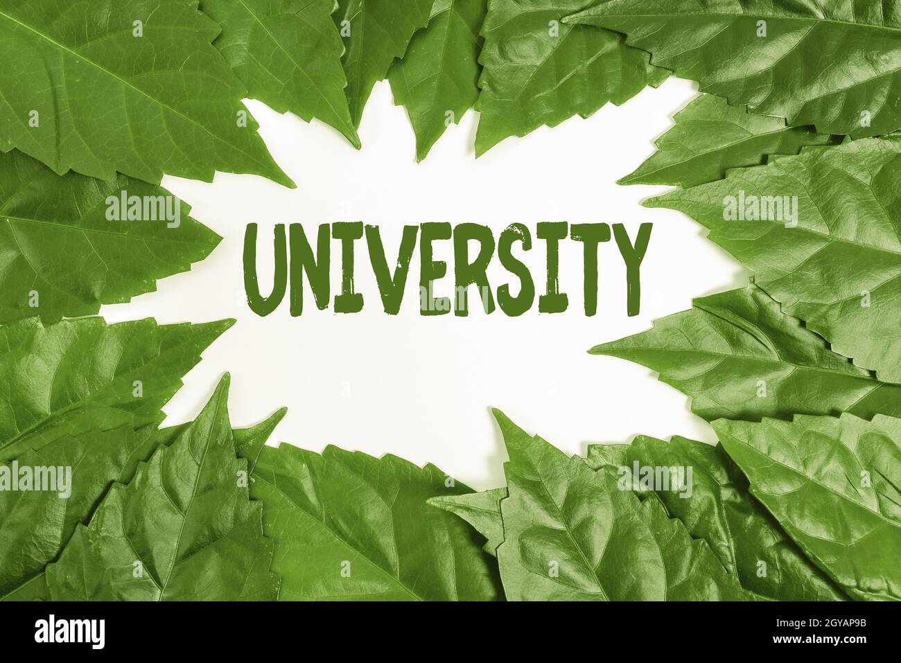 Sign displaying University, Business concept an educational institution ...