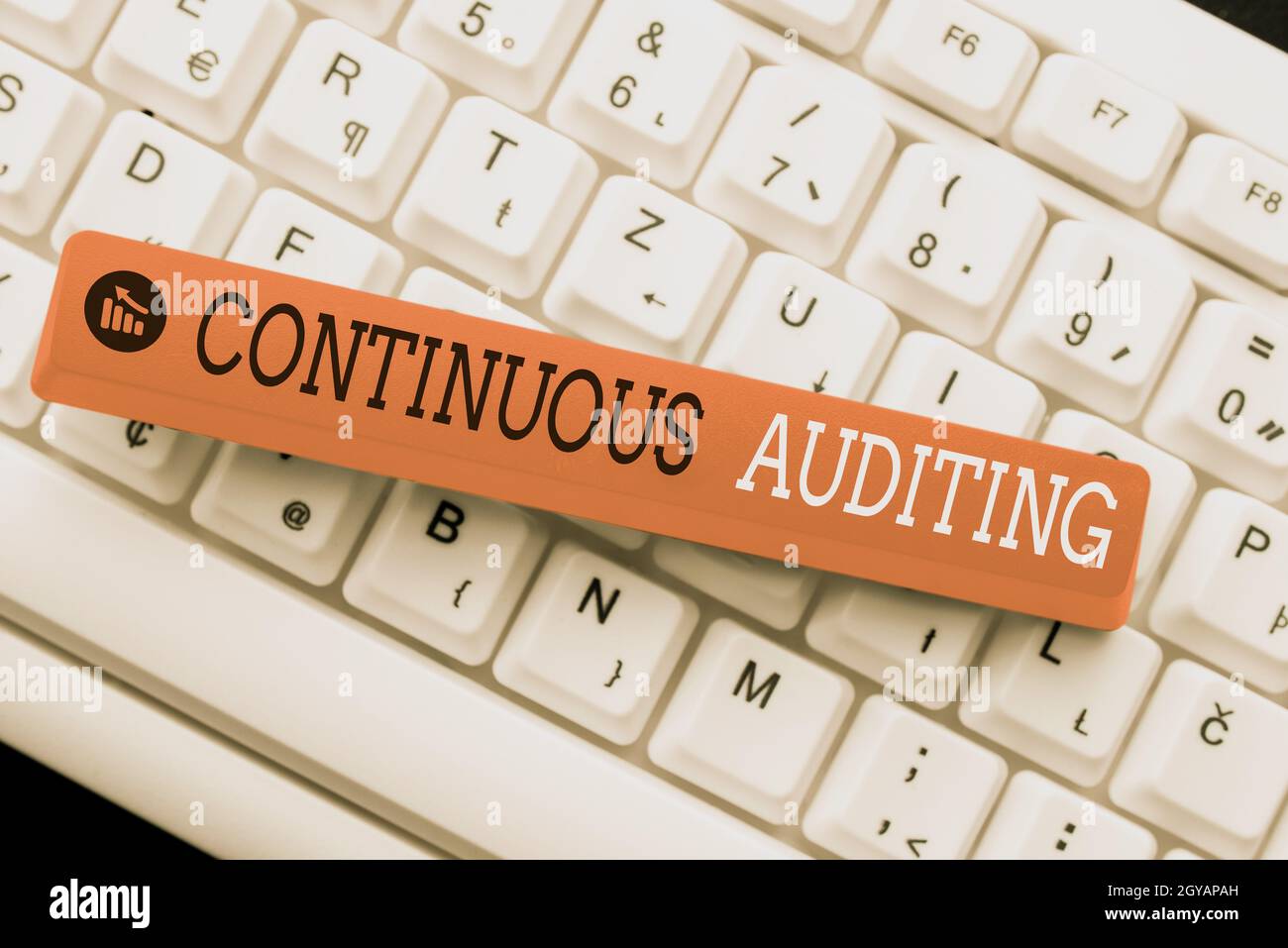 Sign displaying Continuous Auditing, Business overview Internal process ...