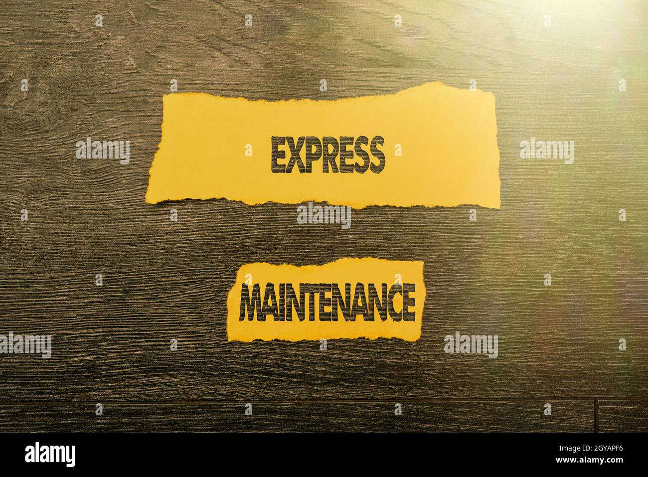 Text caption presenting Express Maintenance, Word Written on damage is ...