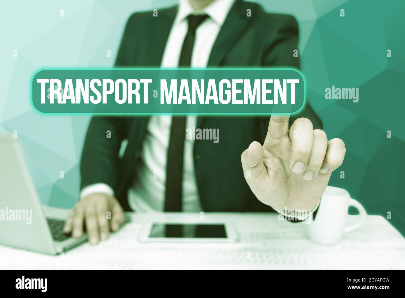 Text sign showing Transport Management, Internet Concept managing ...