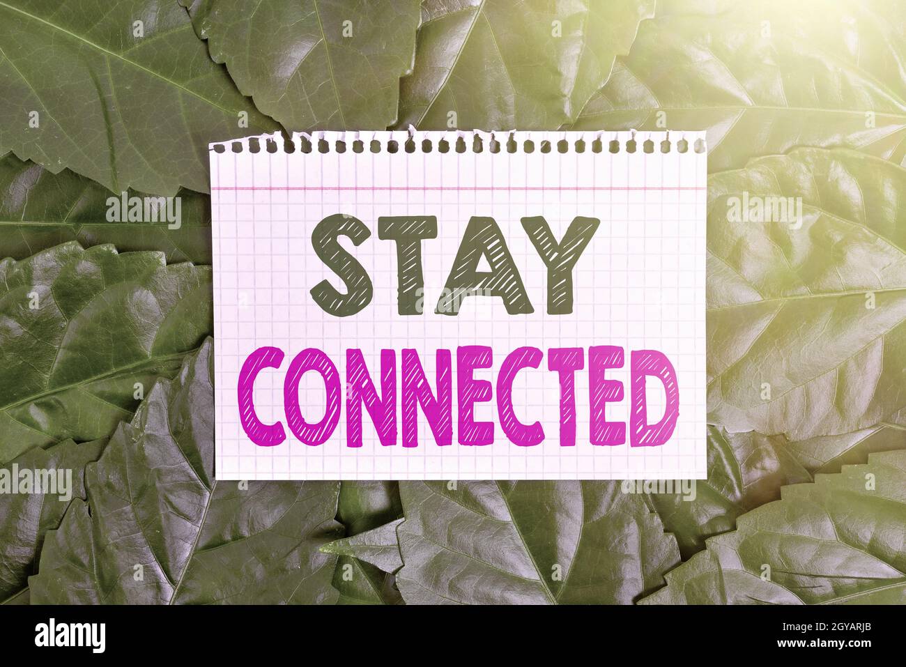 Conceptual display Stay Connected, Conceptual photo to remain having ...