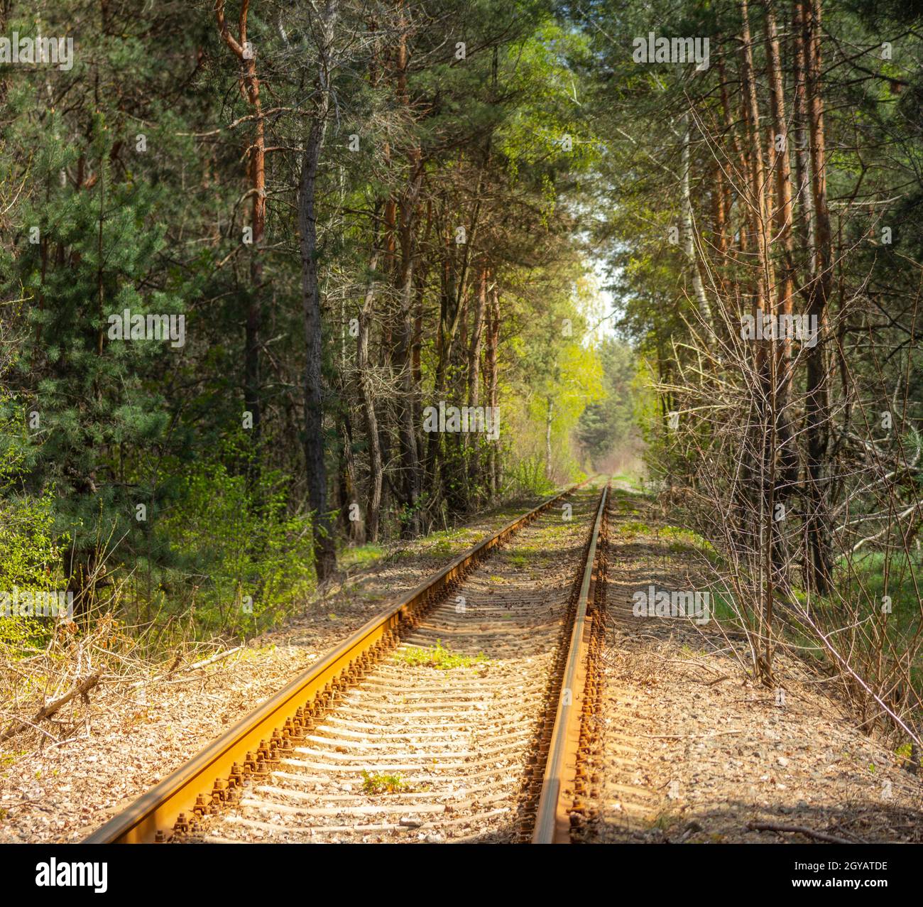 Old railroad tracks through forest hi-res stock photography and images ...