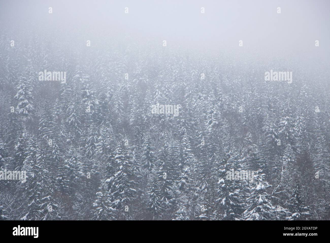 Gradients in nature hi-res stock photography and images - Alamy