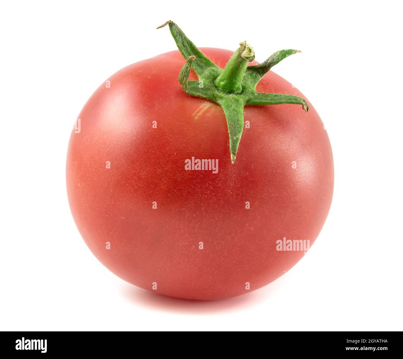 Fresh red tomato with stalk isolated on white background Stock Photo ...