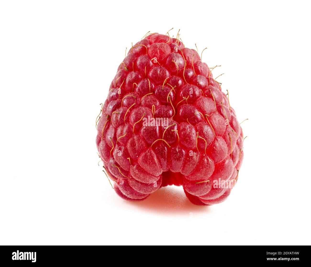 Isolated one raspberry berry on white background Stock Photo - Alamy