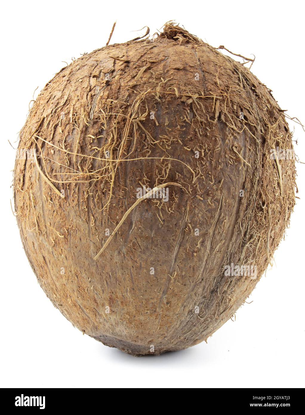 Whole coconut isolated on white background Stock Photo - Alamy