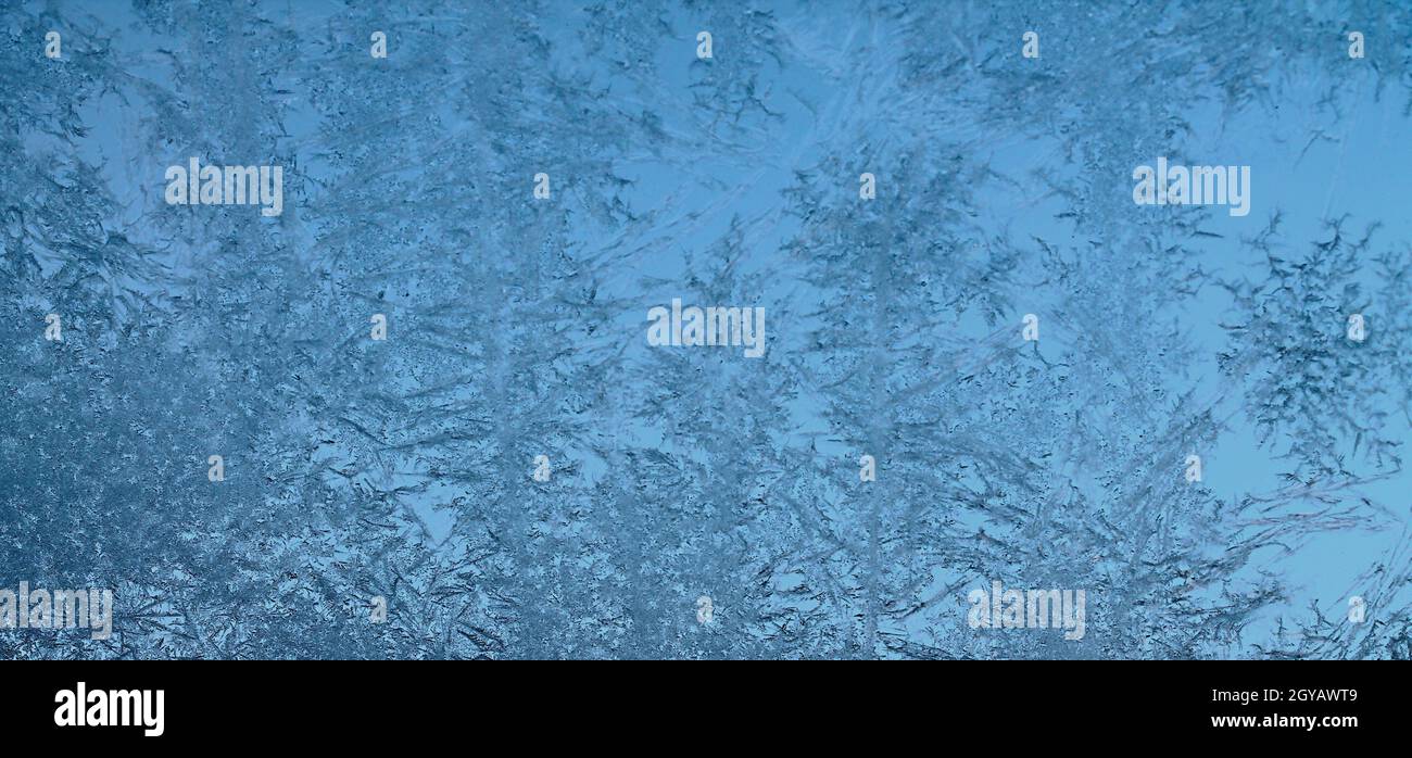 Beautiful ice flowers at a window on a cold winter day Stock Photo - Alamy
