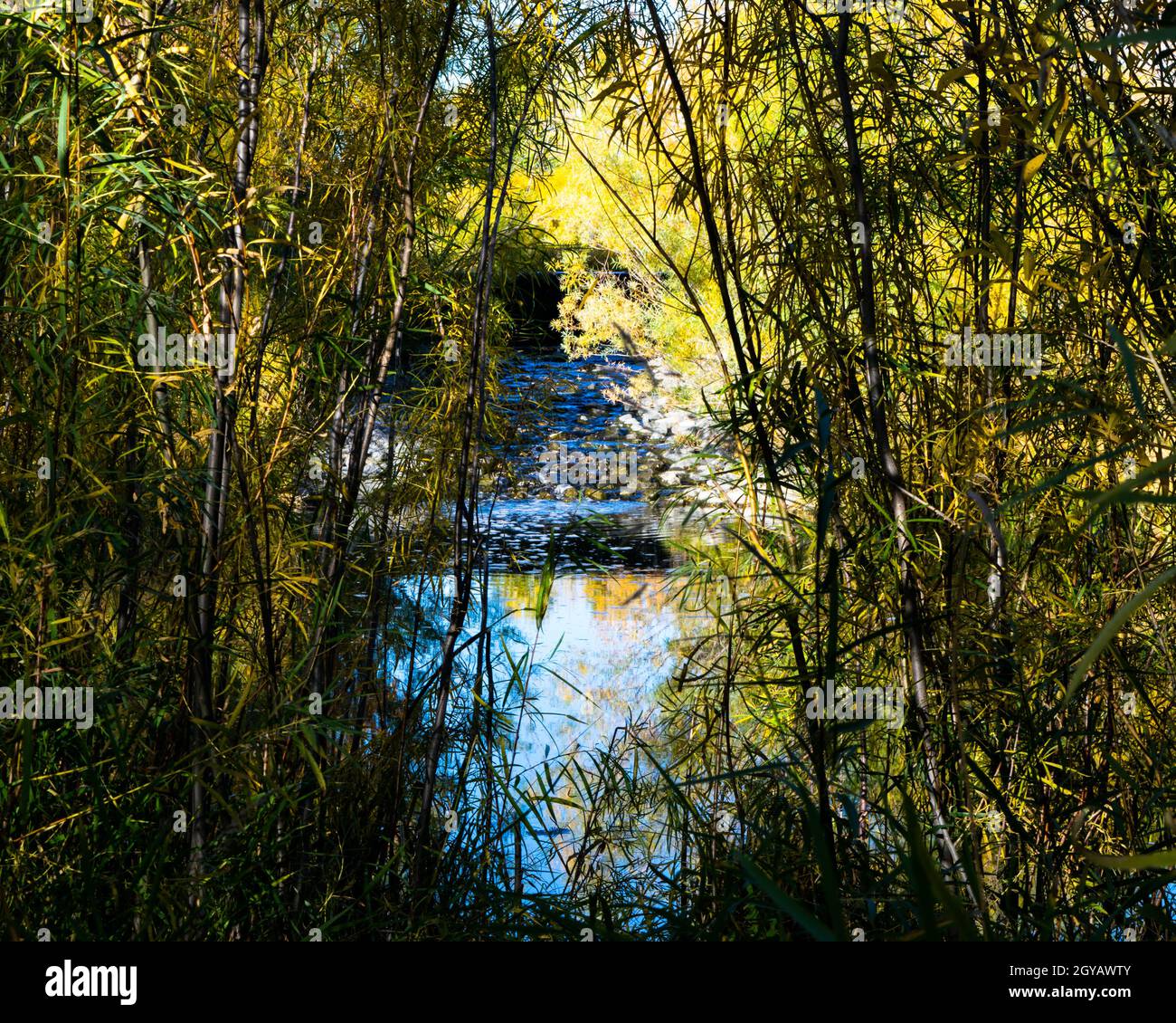 Early fall scenes hi-res stock photography and images - Alamy