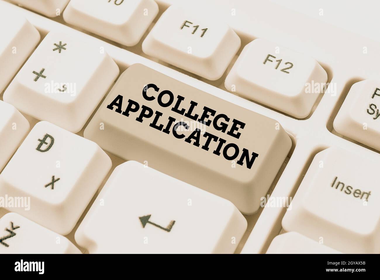 Text sign showing College Application, Business showcase individuals ...