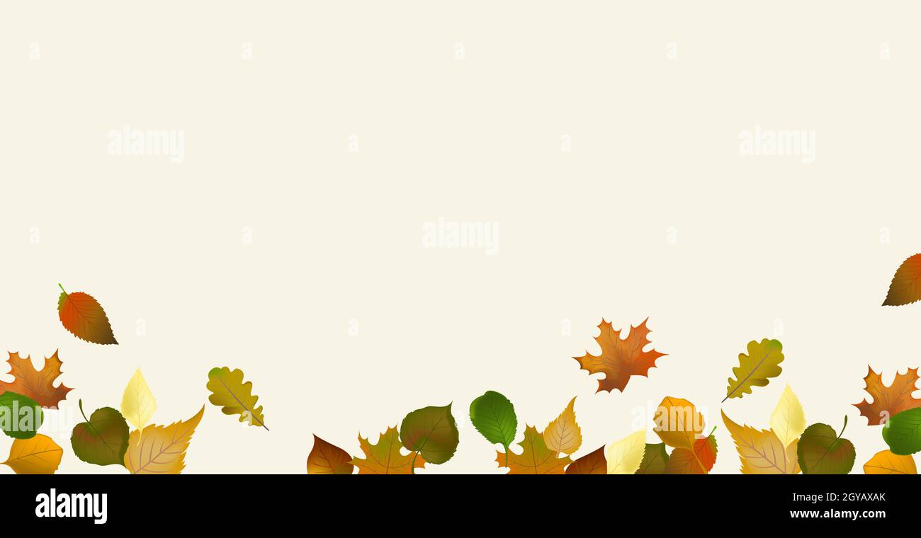 Realistic autumn leaves on a light background - Vector illustration ...