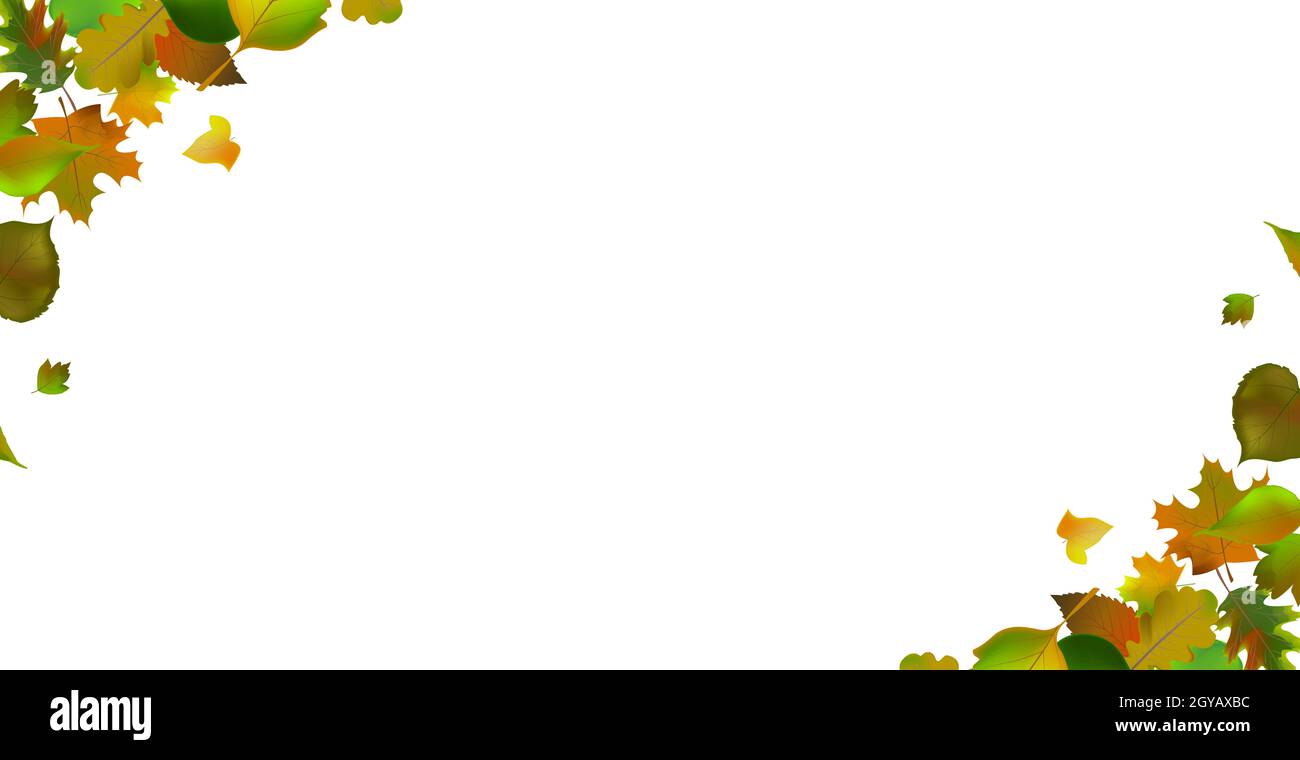 Realistic autumn leaves on a light background - Vector illustration ...