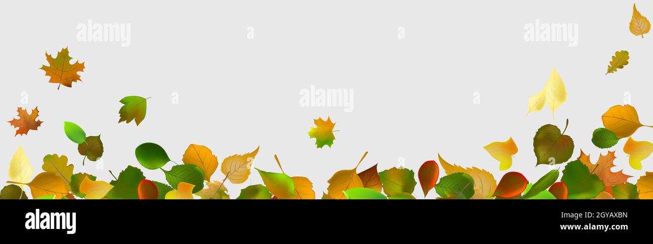 Realistic autumn leaves on a light background - Vector illustration ...