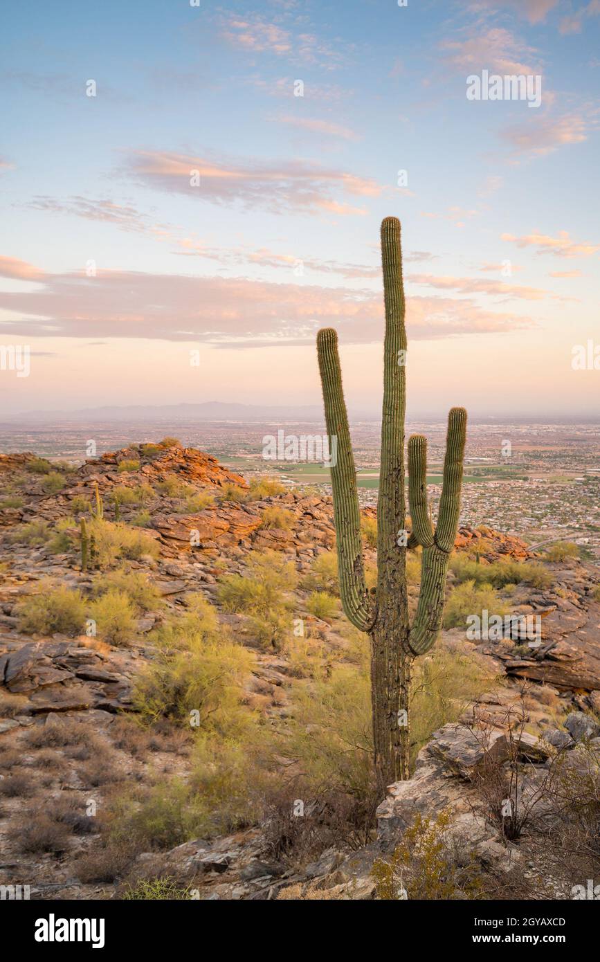 Sunrise south mountain park phoenix hi-res stock photography and images ...