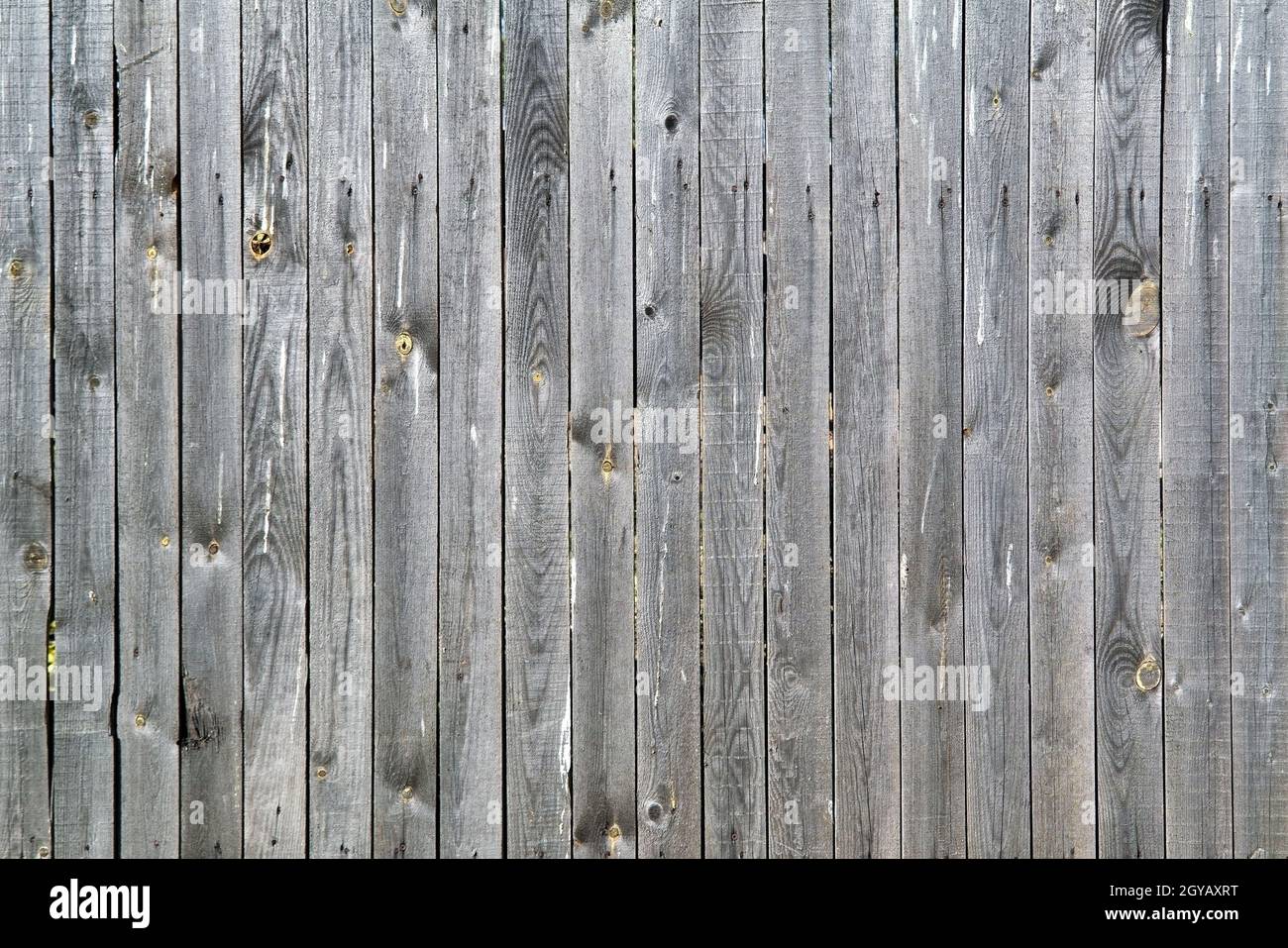 Close up rustic wood plank in vintage style. Surface of old wooden ...