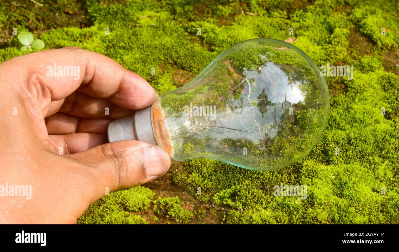 Human hand holding a fluorescent light bulb in sunlight on green nature ...