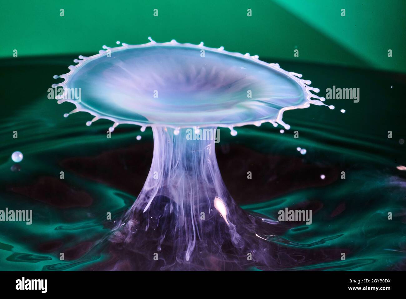 Deep green water with creamy white and purple mushroom waterdrop Stock ...