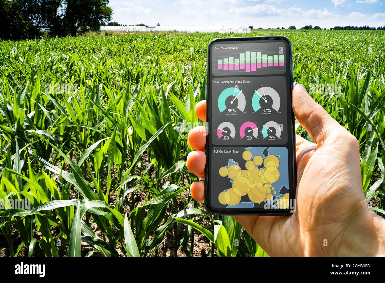 Corn Farm Smart Agriculture Technology And Farming System Stock Photo ...