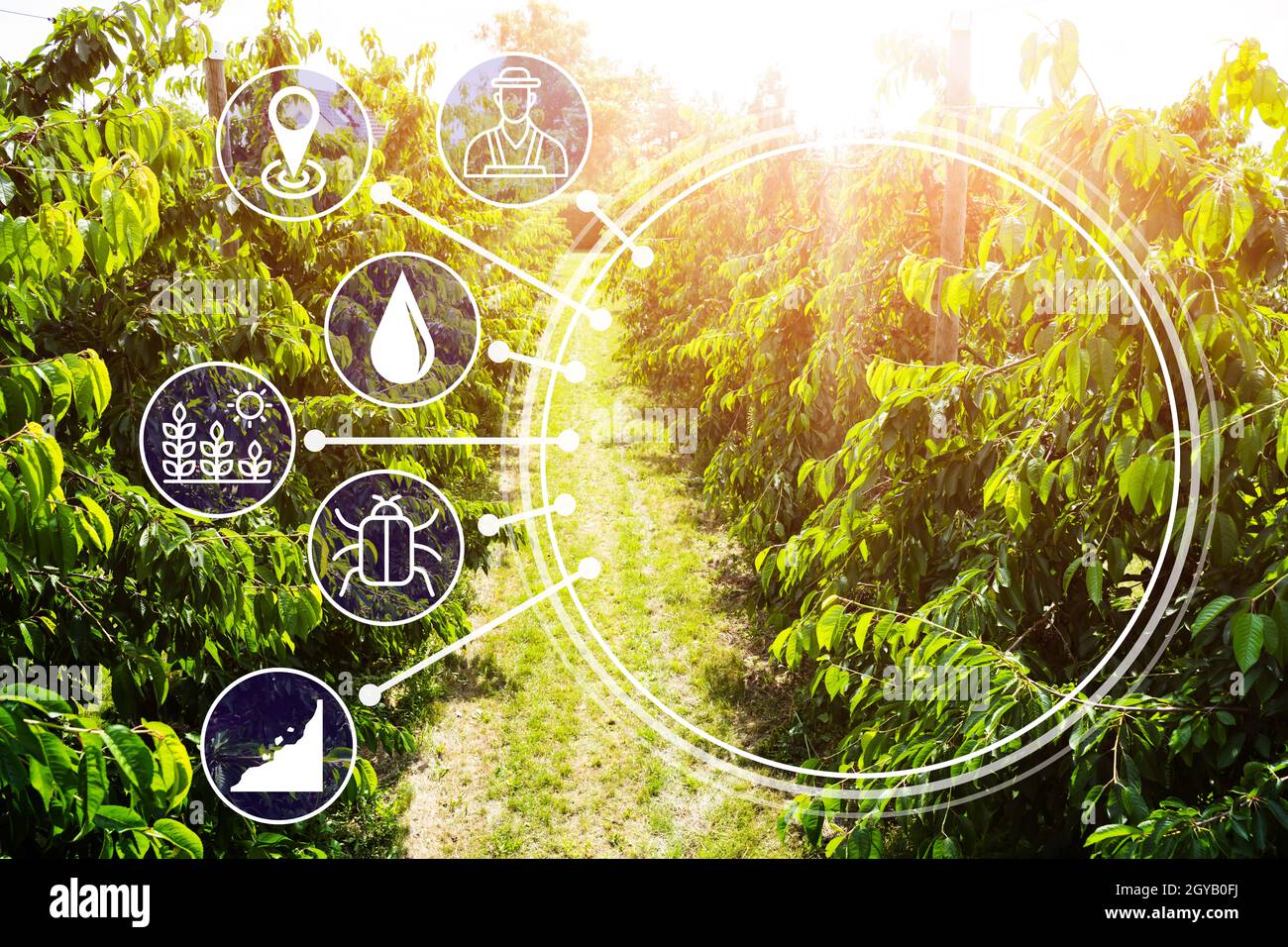 Smart Farming Digital Technology Agriculture At Farm Stock Photo - Alamy