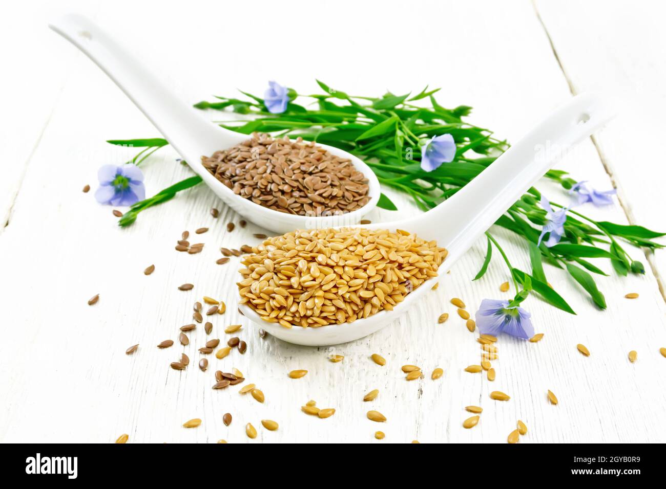 Linen seeds white and brown in two spoons, stalks of flax with blue ...