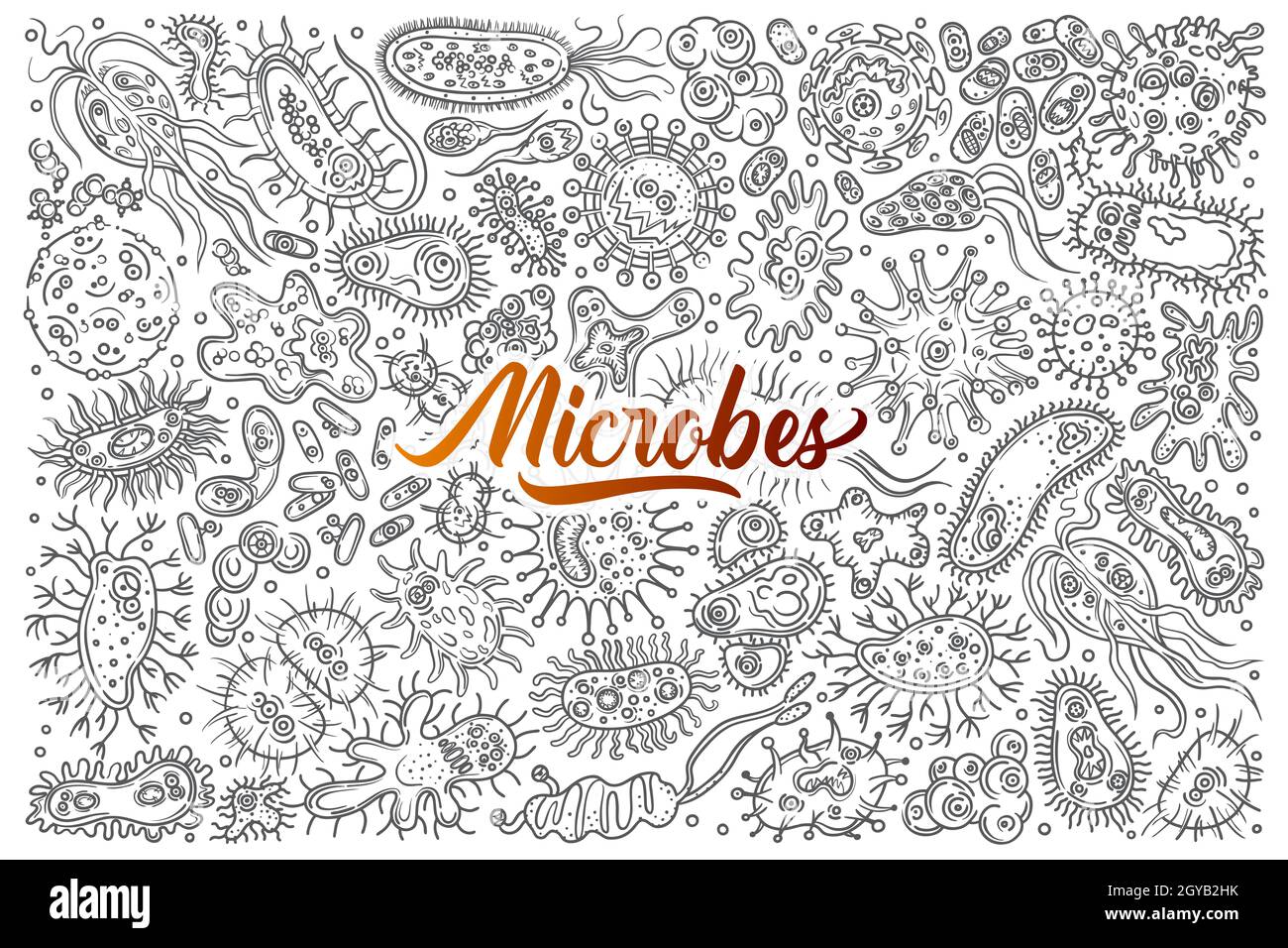 Hand drawn different bacteria and viruses. Concept of microbiology ...