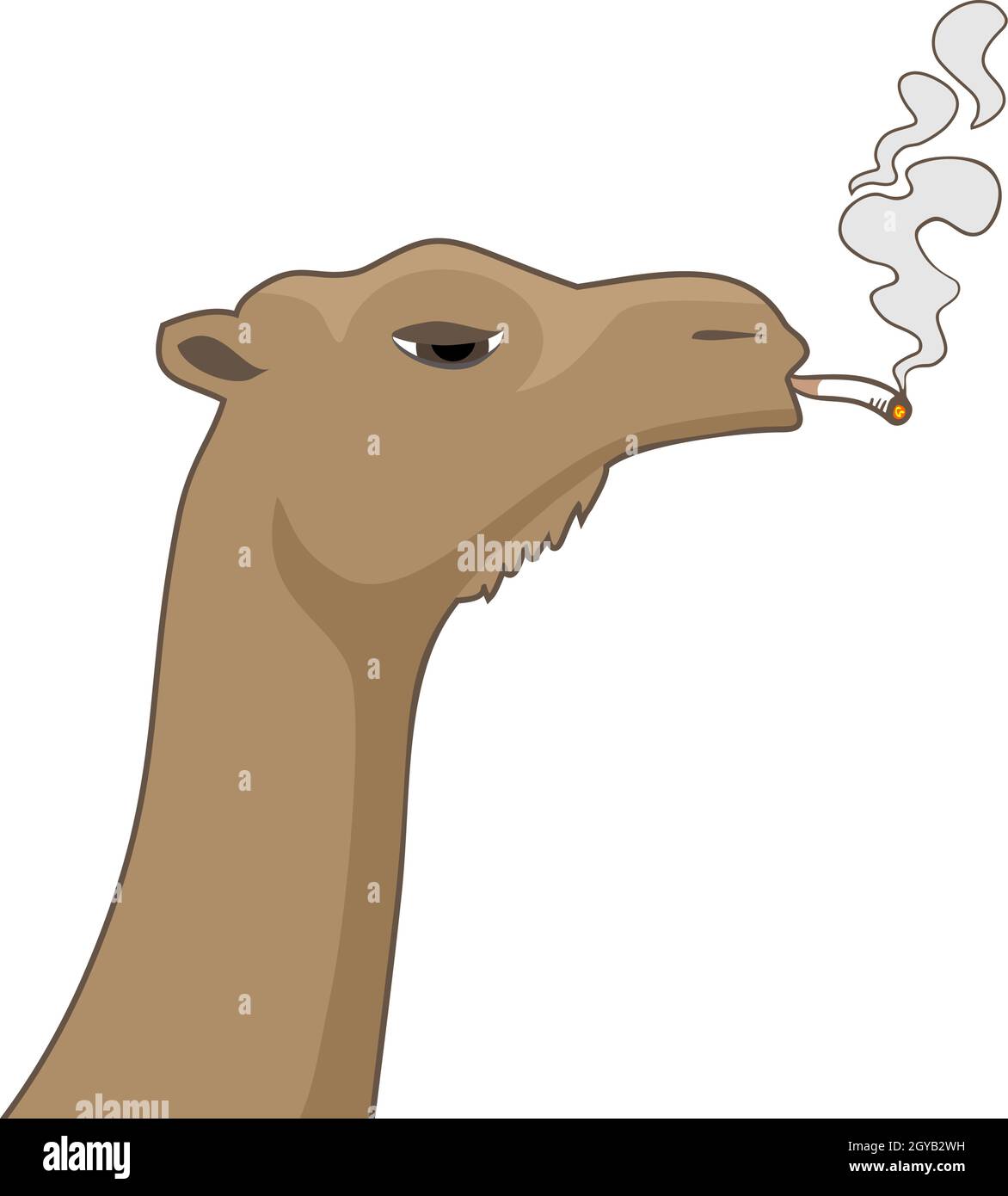 Camel detail Stock Vector Images - Alamy