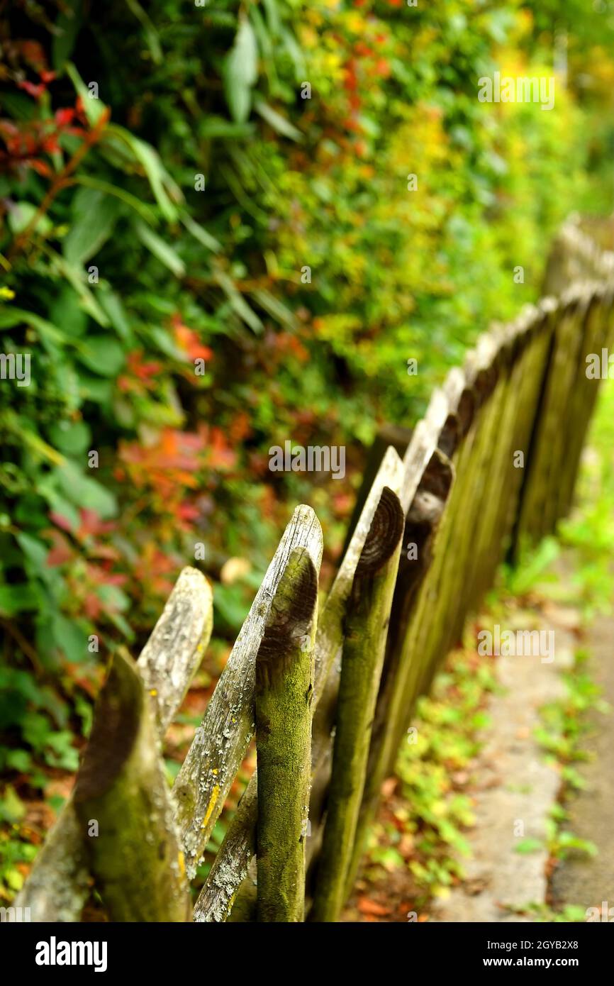 old crooked wooden fence Stock Photo - Alamy