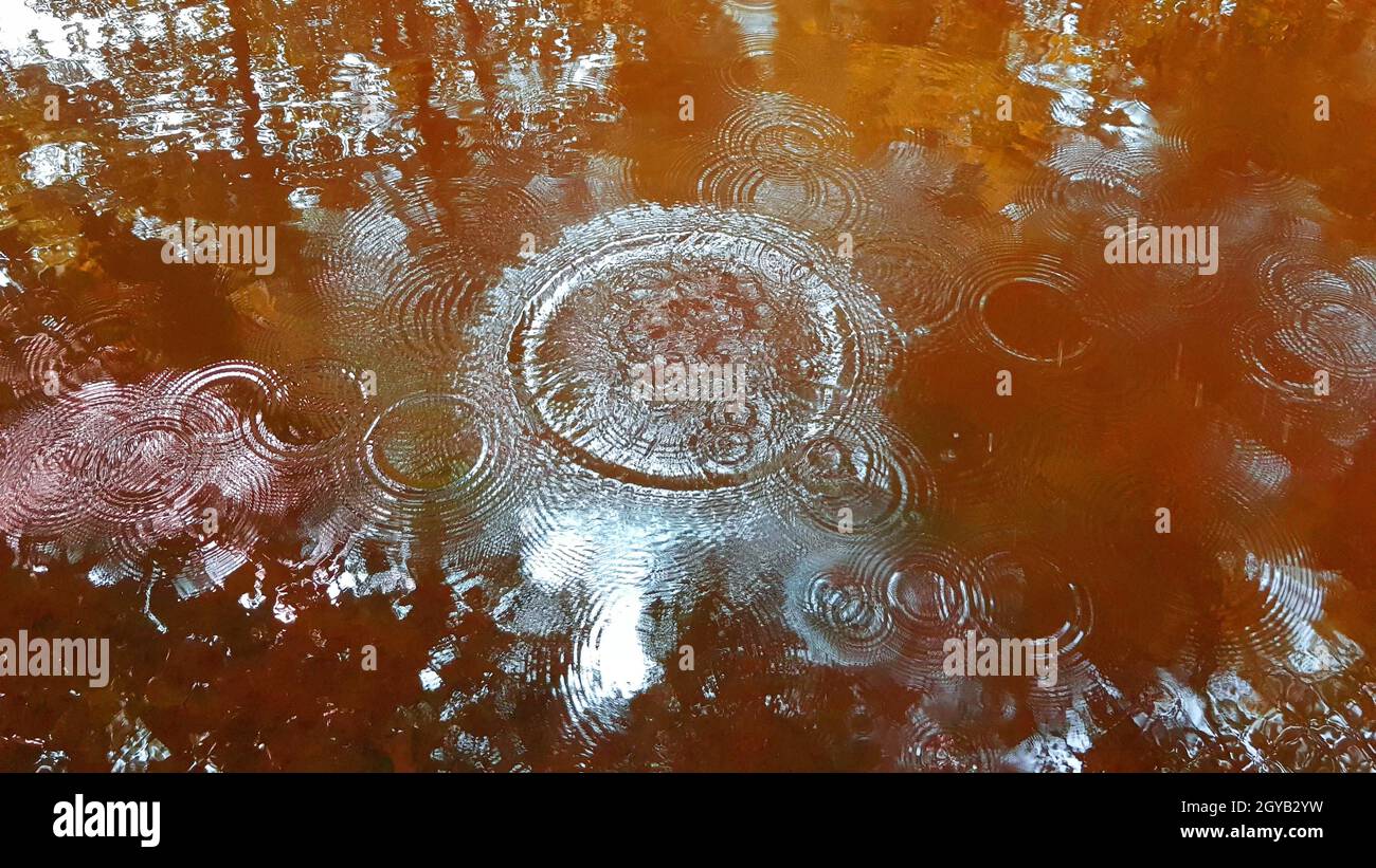 Circles on a bloody red water of the river with trees reflection. A ...