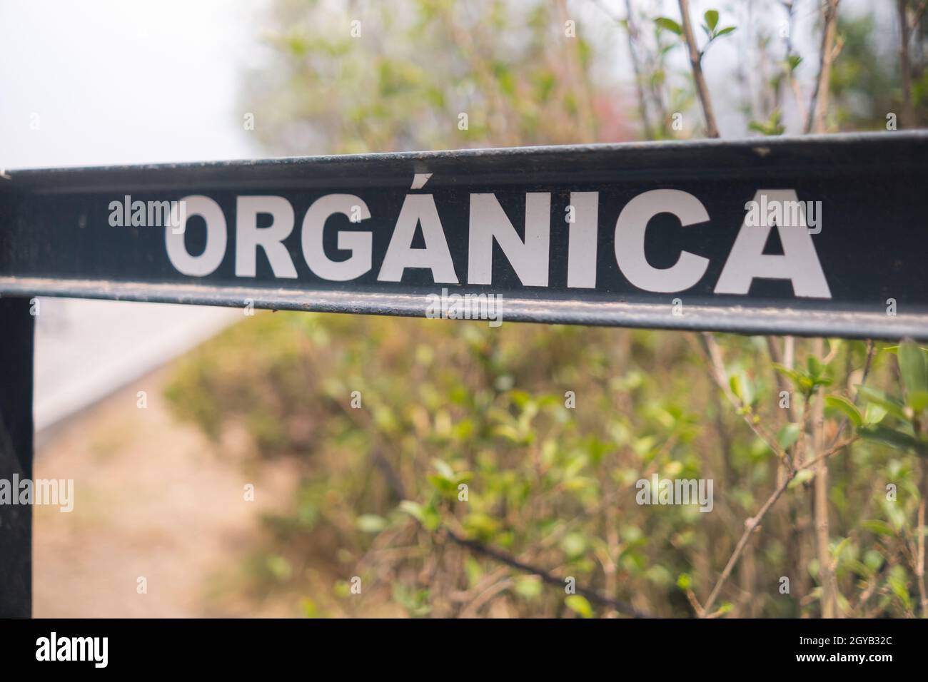 Spanish sign for organic trash with plants as background Stock Photo ...