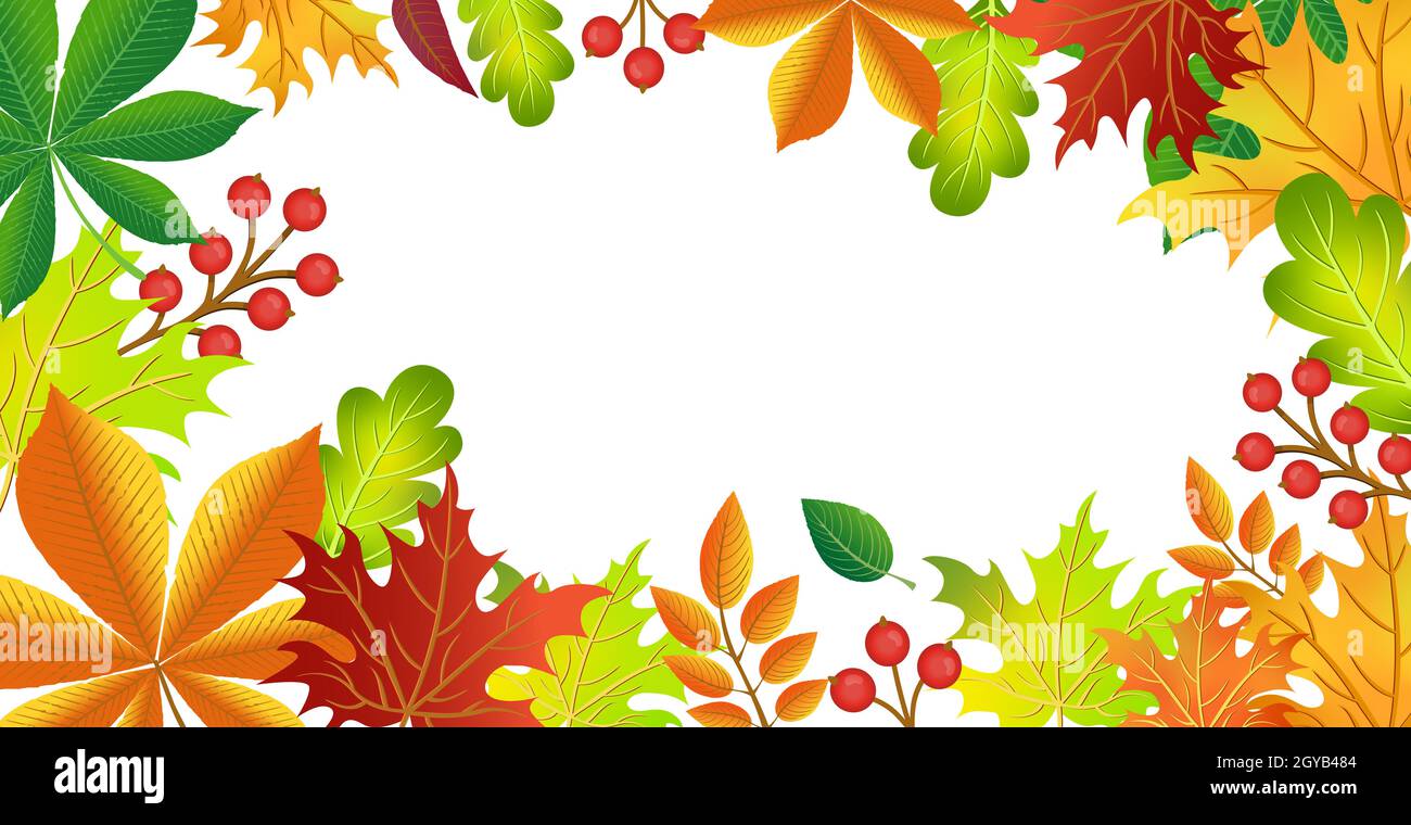 Realistic autumn foliage, white background with space for text - Vector ...