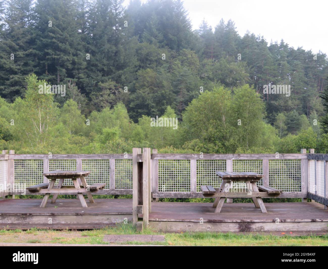 beautiful natural wooden table meringue room picnic field rest Stock ...