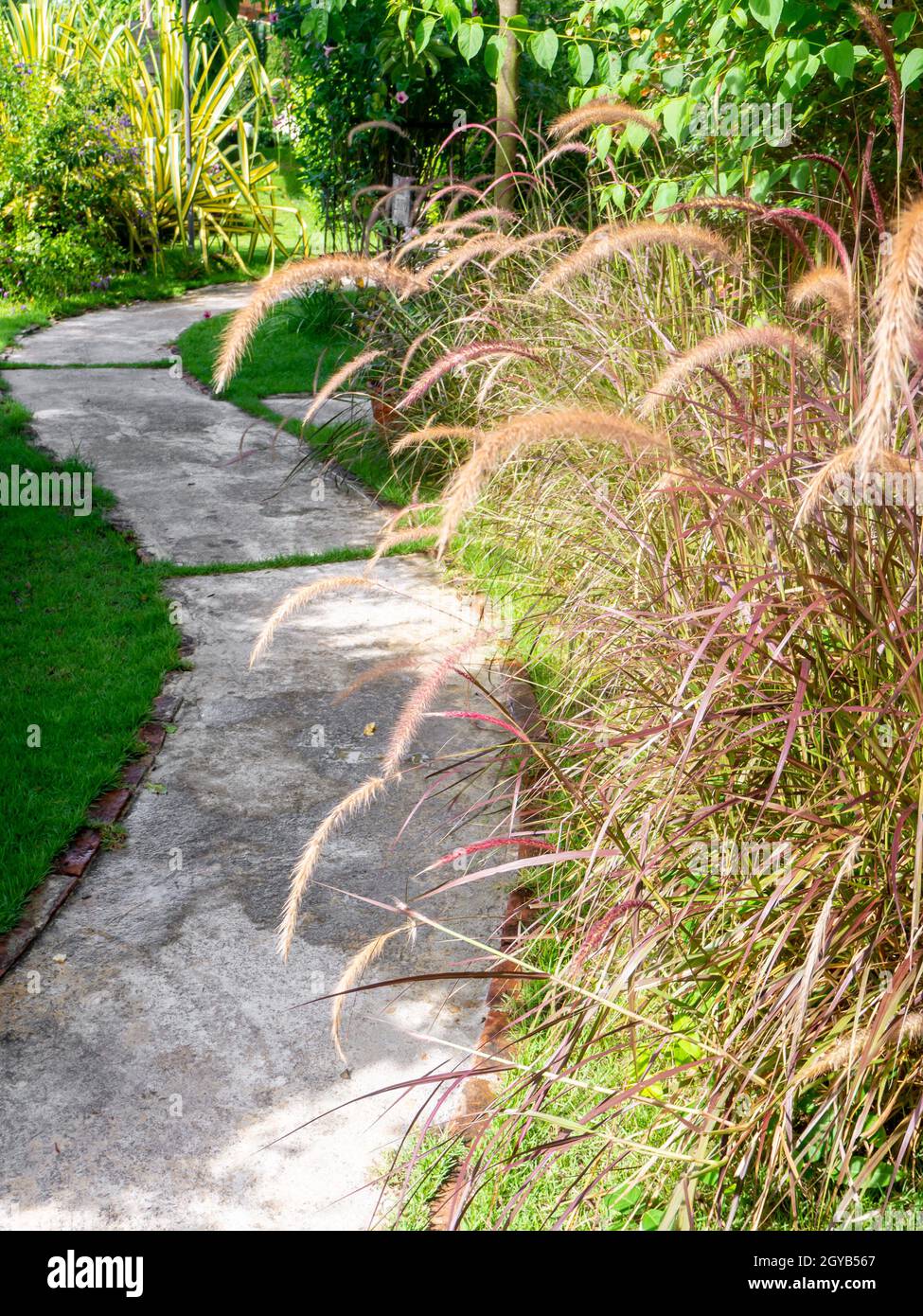Winding brick path hi-res stock photography and images - Alamy