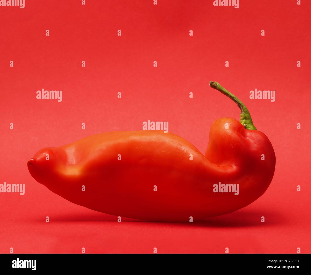 Curved red pointed peppers on a red background, healthy food Stock ...