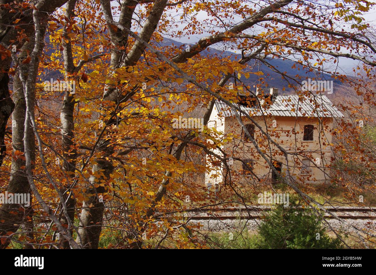 Autumn colors in the forests of Abruzzo Italy Stock Photo - Alamy