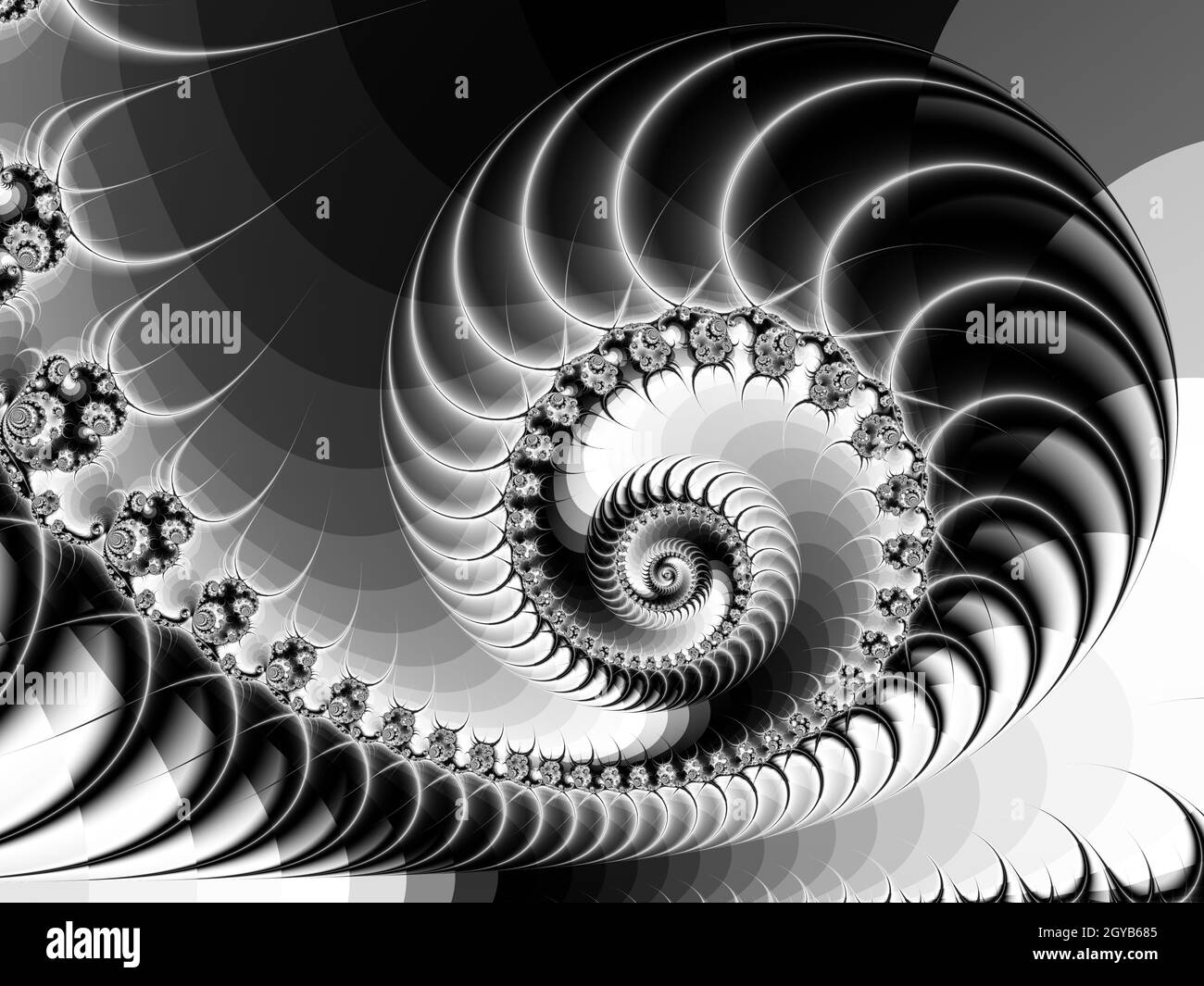 Mandelbrot zoom fractal Black and White Stock Photos & Images - Alamy