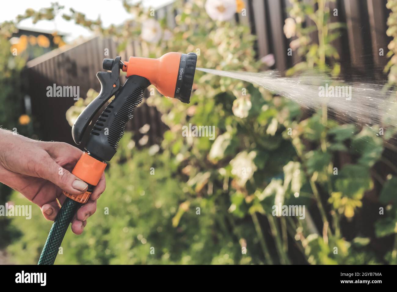 Garden water spray gun hi-res stock photography and images - Alamy