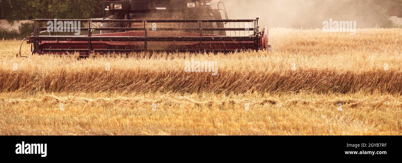 Combine harvester in the field. Close-up of a reel. Harvesting season ...