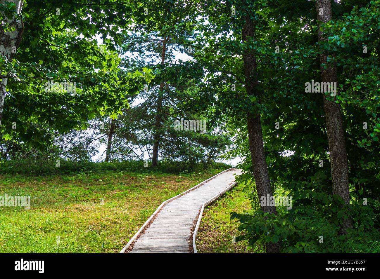 Wooden Footbridge Through the Forest to the Beach Stock Photo - Alamy