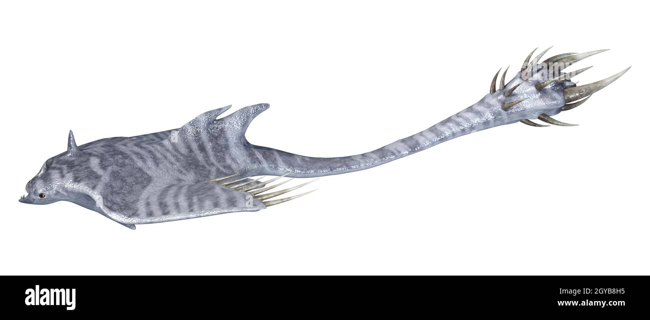 3D rendering of a devil ray isolated on white background Stock Photo ...