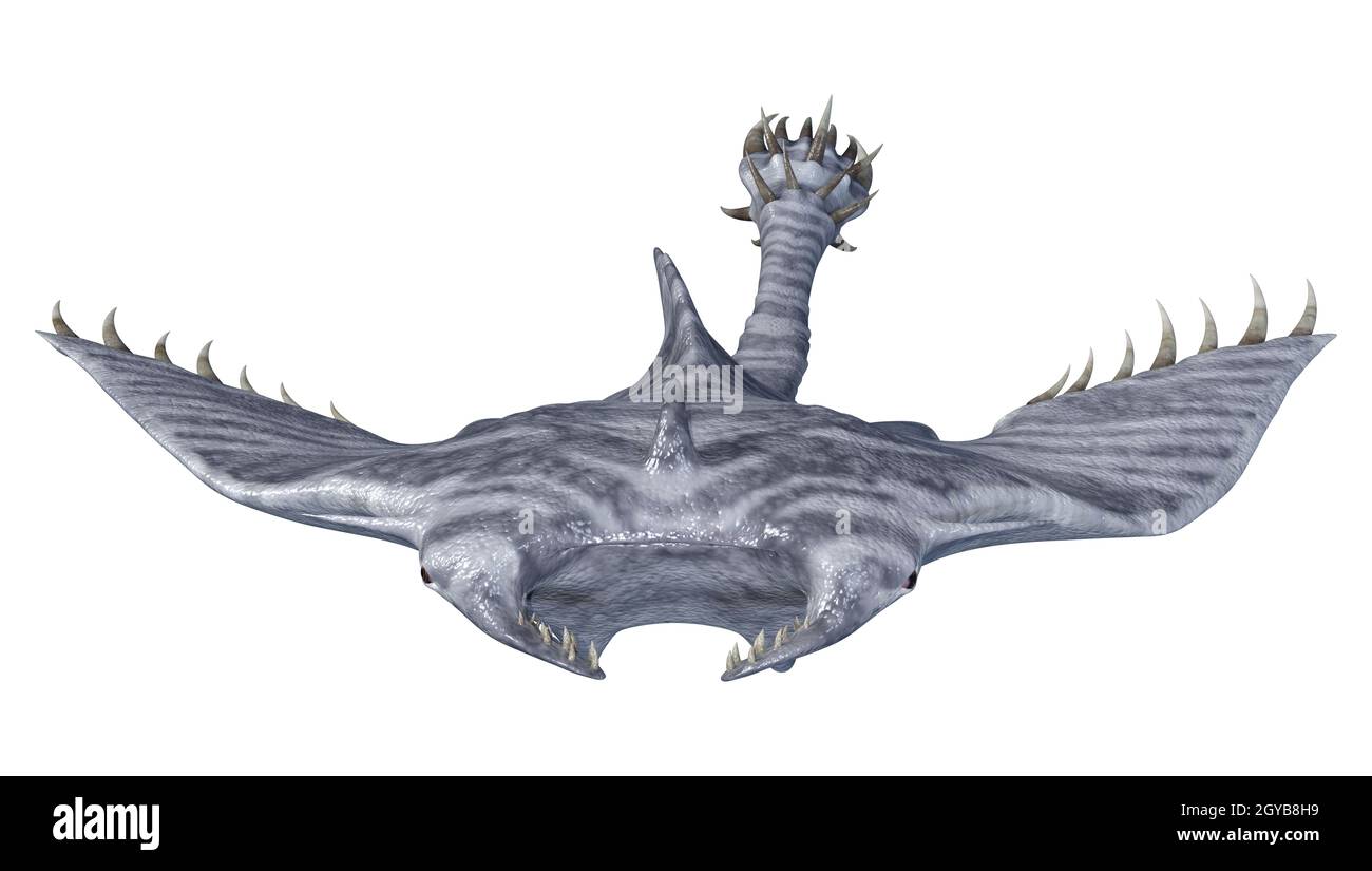 3D rendering of a devil ray isolated on white background Stock Photo ...