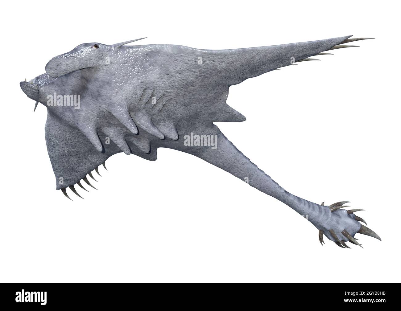 3D rendering of a devil ray isolated on white background Stock Photo ...