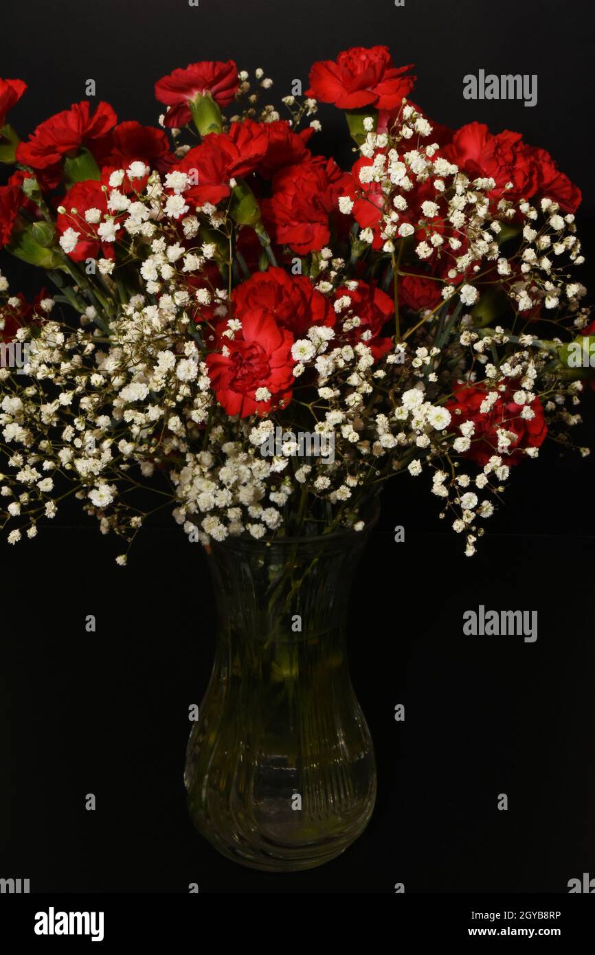 A close up of a bouquet of red carnations and baby's breath in a glass ...