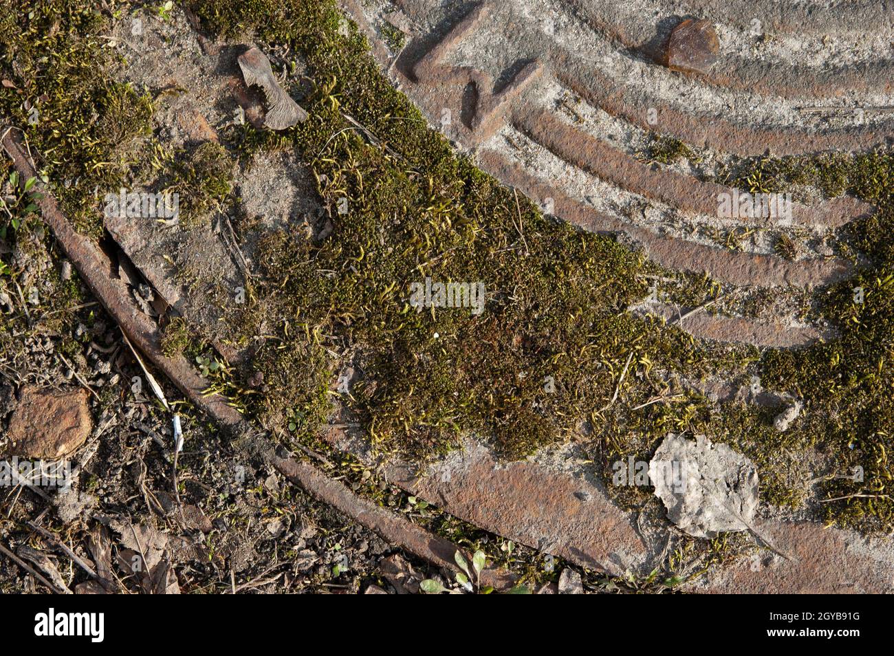 Rusty, moss-covered sewer manhole cover Stock Photo - Alamy