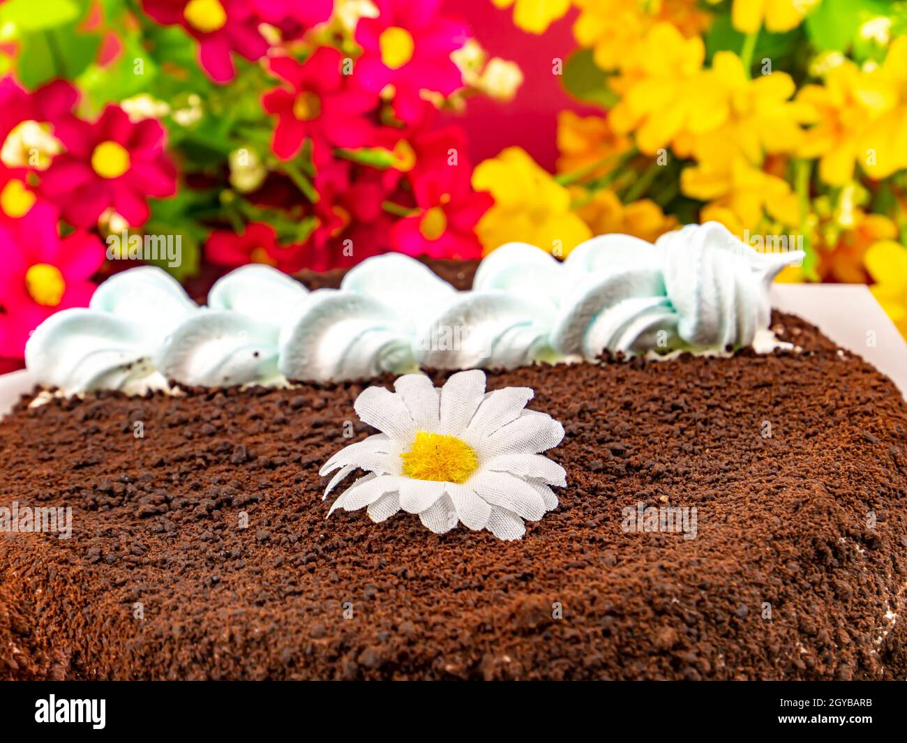 Festive chocolate cake with white biscuit cream. Food photo. Birthday ...